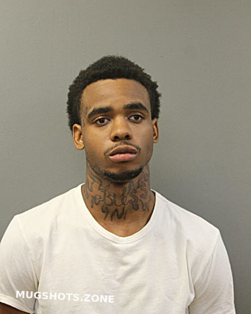 TERRANCE L JOHNSON 09/14/2023 - Chicago Mugshots Zone