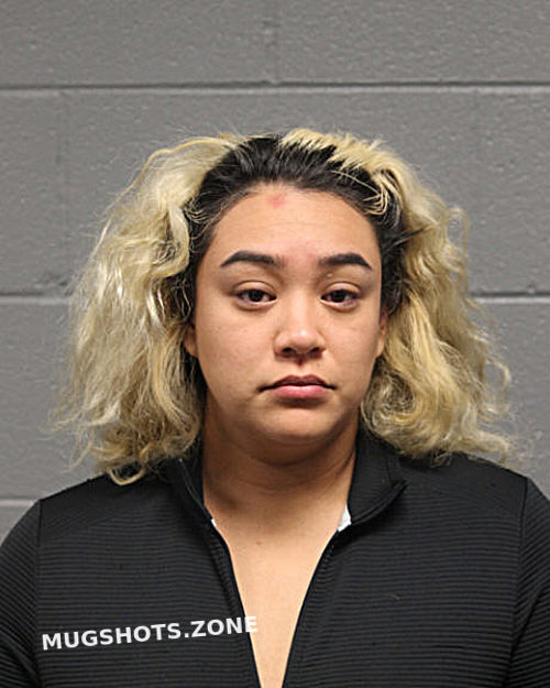 JAYLIN E CASTILLO 09/15/2023 - Chicago Mugshots Zone