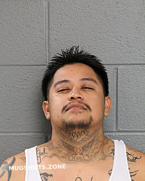 RONALDO S REYES 09/19/2023 - Chicago Mugshots Zone