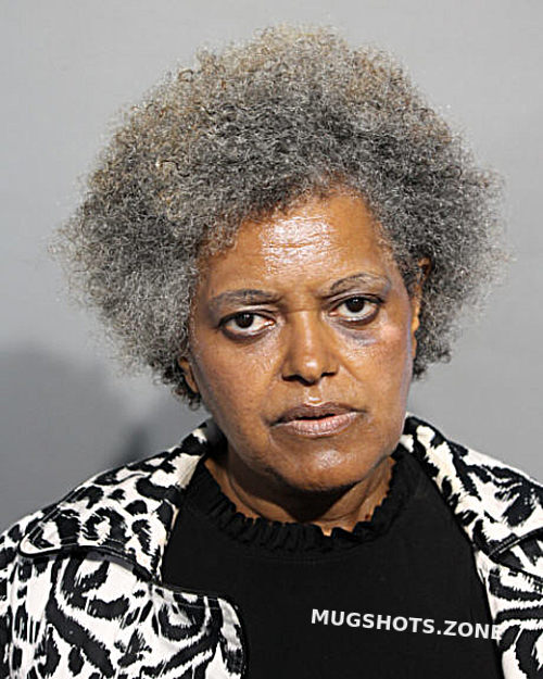 NETSANET B NEGUSSIE 09/19/2023 - Chicago Mugshots Zone