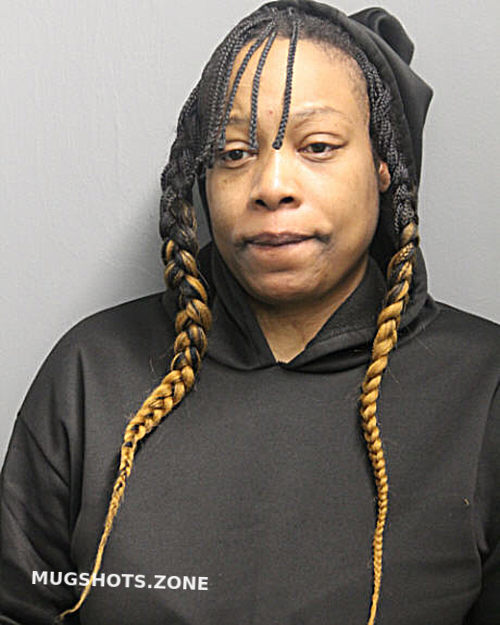 STEPHANIE SHUNTA MEREDITH 10/10/2023 - Chicago Mugshots Zone