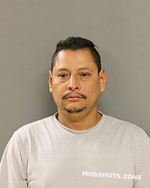MARIO A LINARES REYES 10/14/2023 - Chicago Mugshots Zone