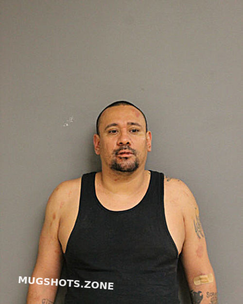 JOHAN R REYES 10/15/2023 - Chicago Mugshots Zone
