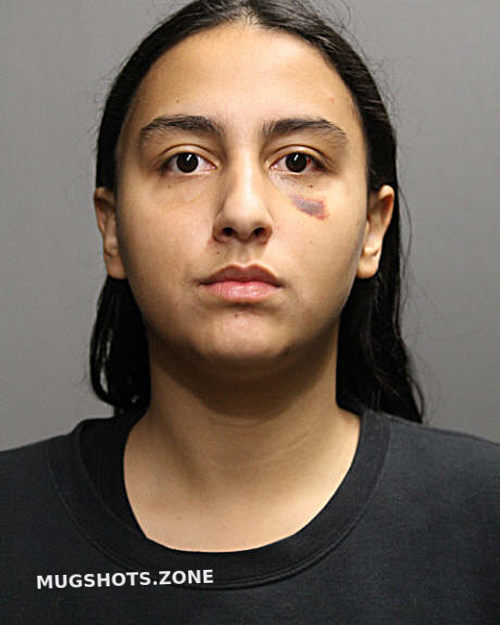AMBER R PEDRAZA 10/20/2023 - Chicago Mugshots Zone