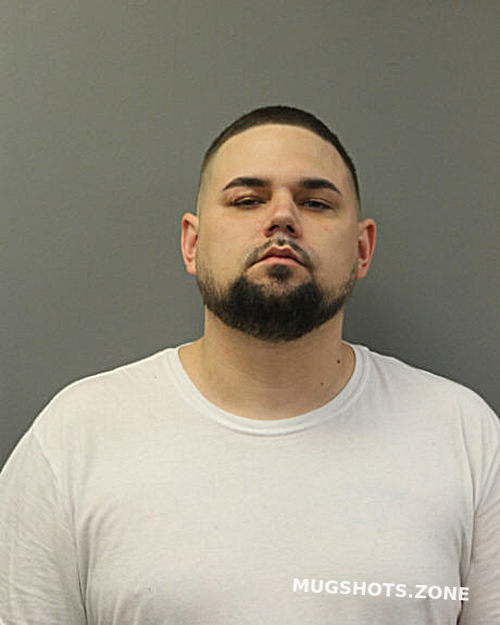 STEVEN W JOHNSON 10/25/2023 - Chicago Mugshots Zone