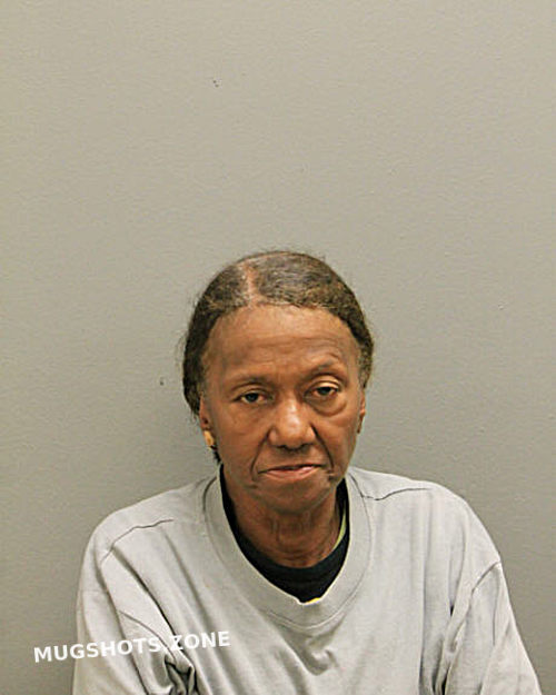 LINDA R JOHNSON 10/28/2023 - Chicago Mugshots Zone