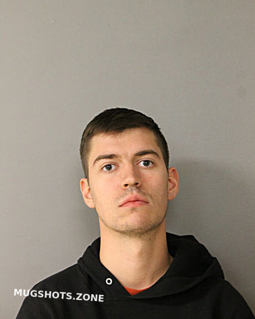 DANIEL M GRAHAM 11/03/2023 - Chicago Mugshots Zone