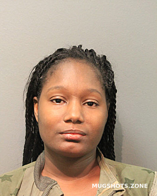SHARON D HOWELL 11/04/2023 - Chicago Mugshots Zone