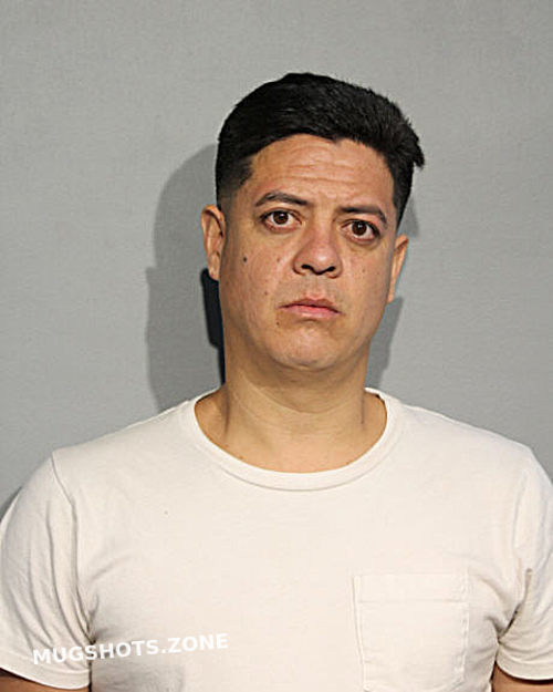 RONALD RENNE ALVAREZ-AMARO 11/07/2023 - Chicago Mugshots Zone