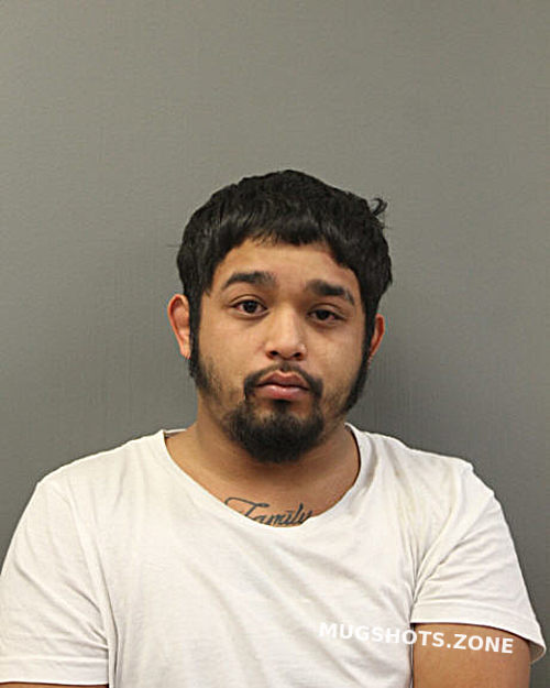 LEXIS T FEJERANG 11/10/2023 - Chicago Mugshots Zone