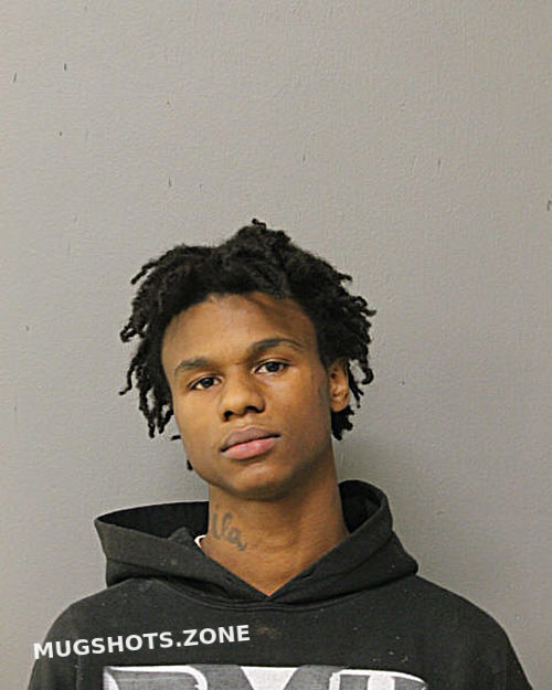 RICHARD O LEWIS 11/10/2023 - Chicago Mugshots Zone