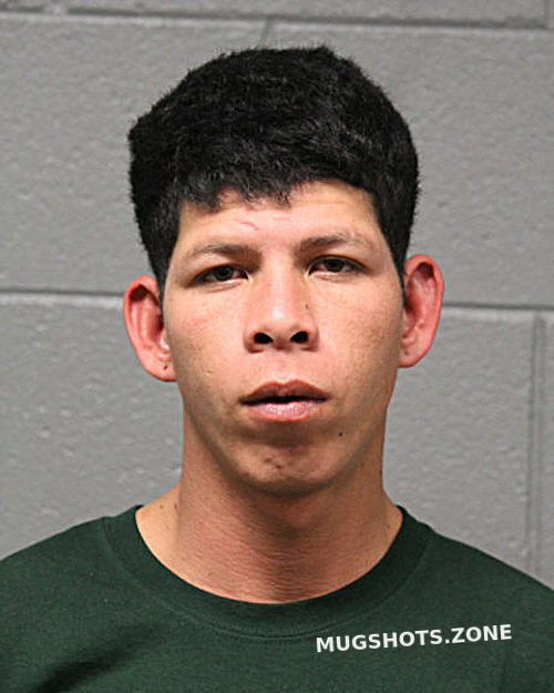 DIEGO ARMANDO ESCALONA 11/11/2023 - Chicago Mugshots Zone