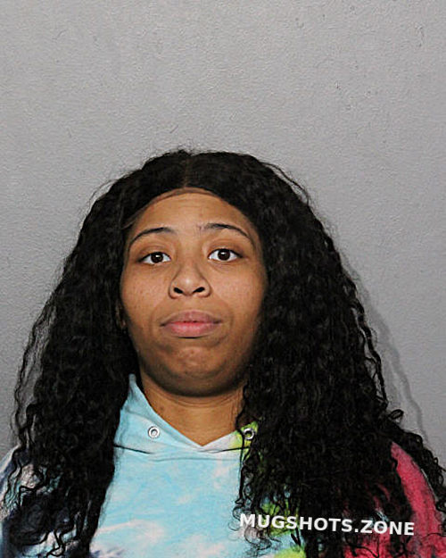 ASHLEE MARY JOHNSON 11/13/2023 - Chicago Mugshots Zone