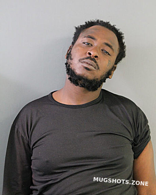 LD T SECTION 11/13/2023 - Chicago Mugshots Zone