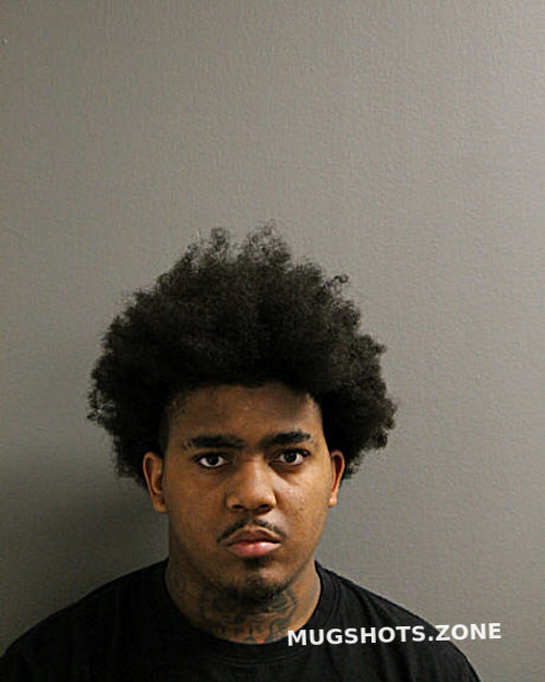 CHRISTIAN E WALLACE 11/13/2023 - Chicago Mugshots Zone
