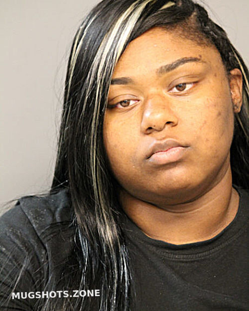 DIAMOND L JOHNSON 11/17/2023 - Chicago Mugshots Zone
