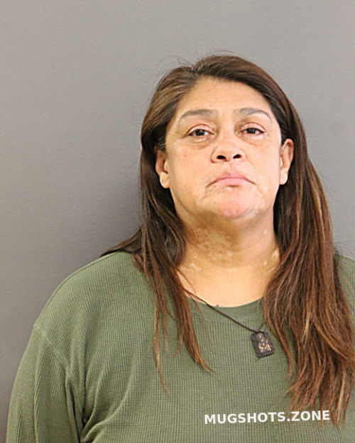 MARIA MARTINEZ-HERNANDEZ 11/19/2023 - Chicago Mugshots Zone
