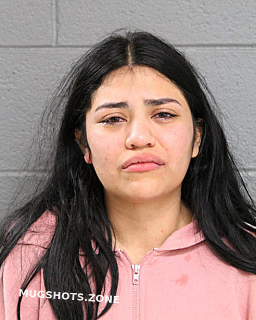 Fernanda A Gutierrez 11 20 2023 Chicago Mugshots Zone