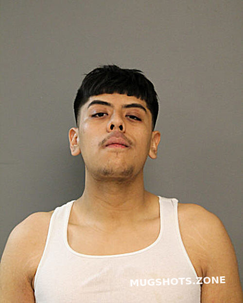 ALBERTO HERNANDEZ 11/24/2023 - Chicago Mugshots Zone