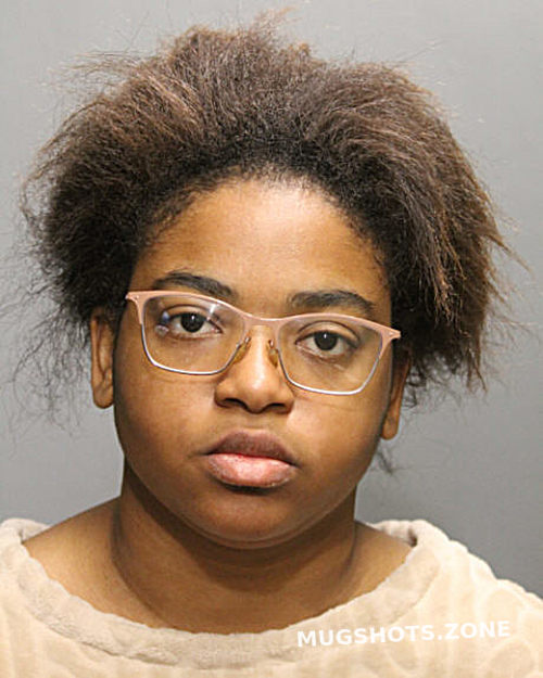DESTINY GEORGE 11/24/2023 - Chicago Mugshots Zone