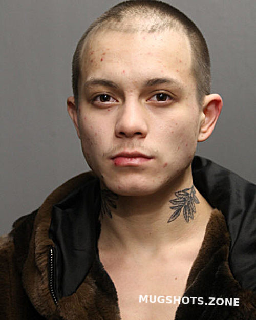 Ashton L Monroe 11 28 2023 Chicago Mugshots Zone