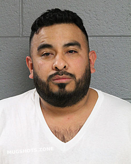 MARIO MEDINA 12/08/2023 - Chicago Mugshots Zone
