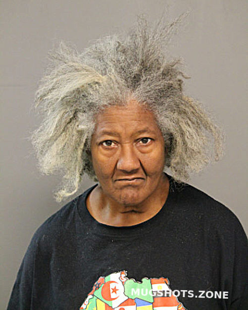 LINDA R JOHNSON 12/13/2023 - Chicago Mugshots Zone