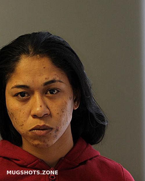 ANDREINA HERNANDEZ 12/16/2023 - Chicago Mugshots Zone