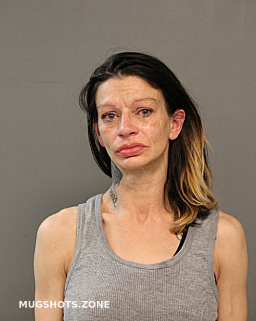 TARA S STRICKLIN 12/25/2023 - Chicago Mugshots Zone