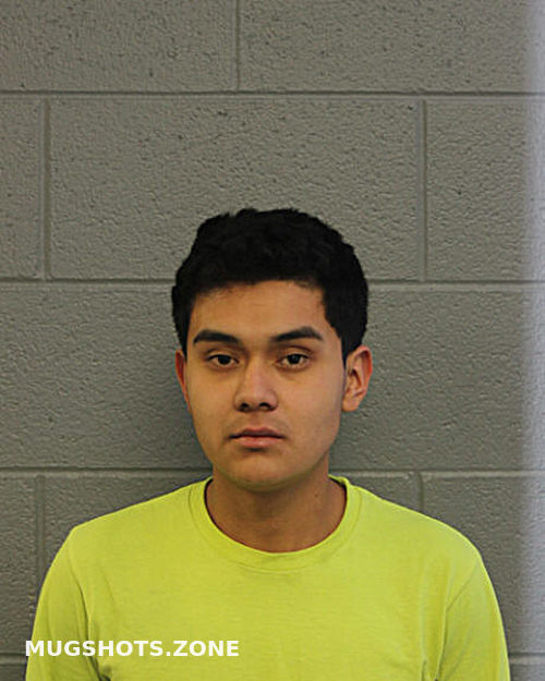 ALEXIS BAHENA 12/29/2023 - Chicago Mugshots Zone