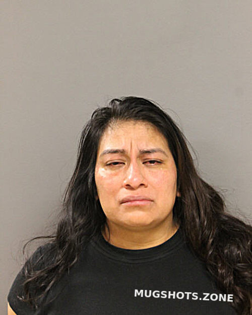 JANNET SANCHEZ 12/30/2023 - Chicago Mugshots Zone