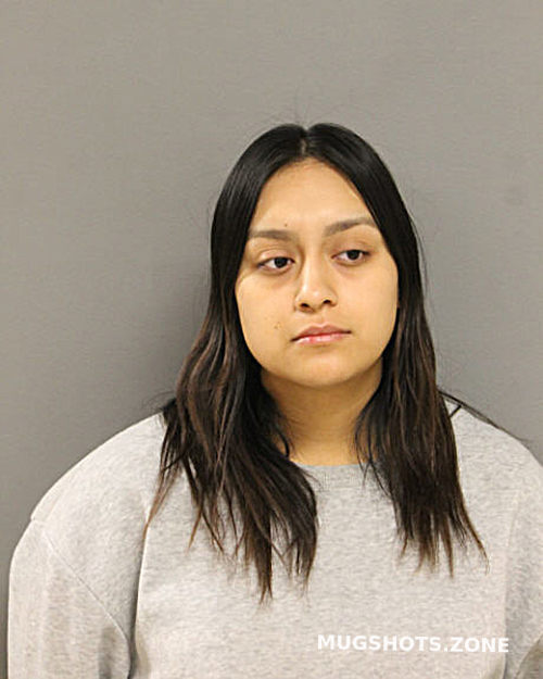 SARAI SANCHEZ 12/30/2023 - Chicago Mugshots Zone