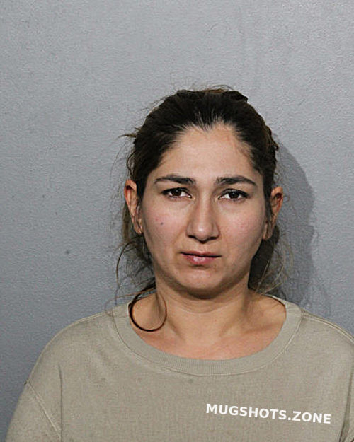 DANIELA TANASE 12/31/2023 - Chicago Mugshots Zone