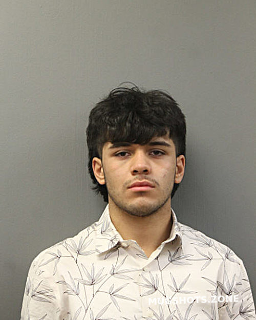 JULES RODRIGUEZ 01/01/2024 - Chicago Mugshots Zone
