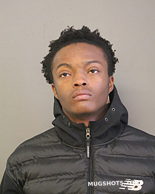 KOBE LEE 01/01/2024 - Chicago Mugshots Zone