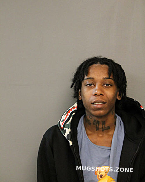 ROBERT L DAVIS 01/03/2024 - Chicago Mugshots Zone