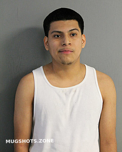 ALEXIS ARMENTA DESIDERIO 01/06/2024 - Chicago Mugshots Zone