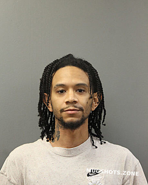 DEMITRIUS G BROWN 01/08/2024 - Chicago Mugshots Zone