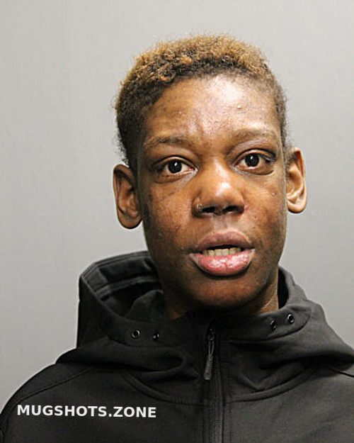 DEIDRA L BROWN 01/13/2024 - Chicago Mugshots Zone