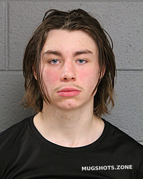 COLIN R SCHWOEBEL 01/16/2024 - Chicago Mugshots Zone
