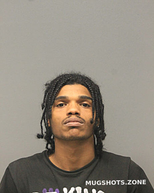 TERRELL L FERRELL 01/19/2024 - Chicago Mugshots Zone