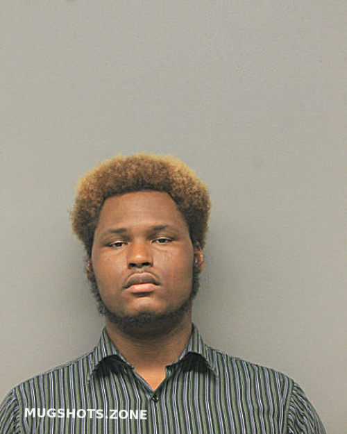 MAXWELL WILLIS 01/20/2024 - Chicago Mugshots Zone