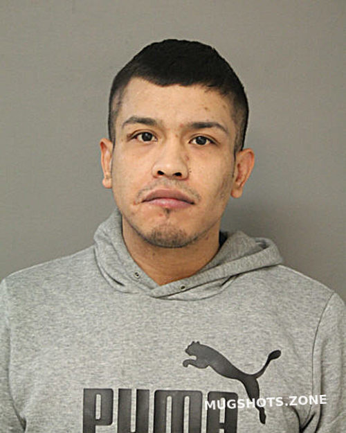ENRIQUE RODRIGUEZ 01/21/2024 - Chicago Mugshots Zone
