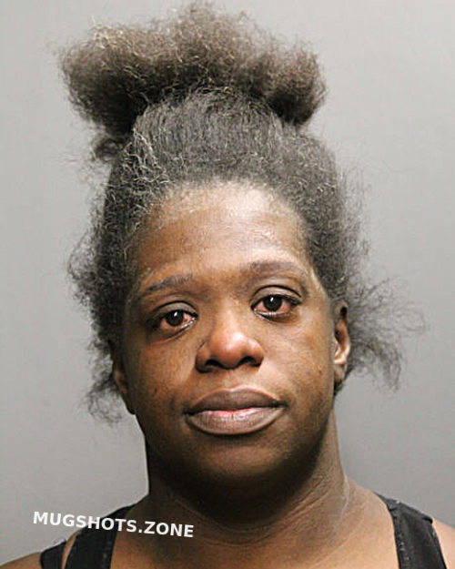 CALLIE L CONNER 01/22/2024 - Chicago Mugshots Zone