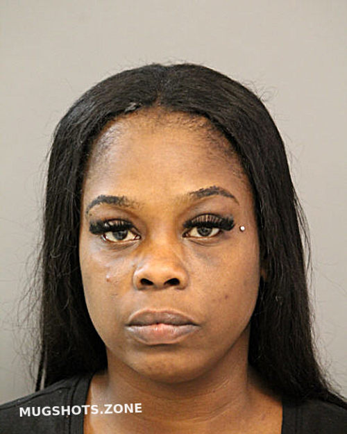 ERICA L DUNLAP 01/23/2024 - Chicago Mugshots Zone