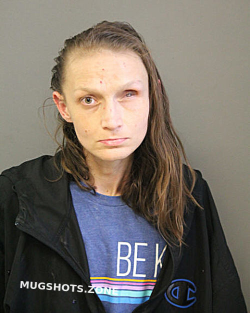 MICHELLE L LEWANDOWSKI 01/24/2024 - Chicago Mugshots Zone