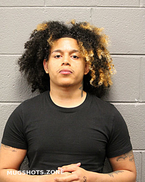 MEY-SIN NAKIA HOLLOWELL 01/27/2024 - Chicago Mugshots Zone