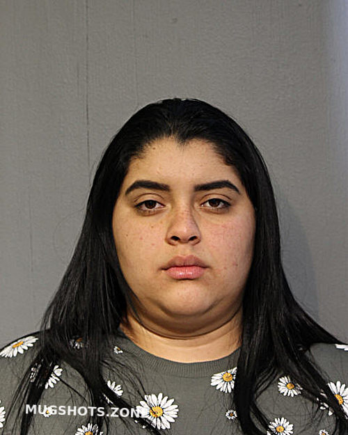 CHARLOT YISEL HERNANDEZ RODRIGUEZ 01/30/2024 - Chicago Mugshots Zone