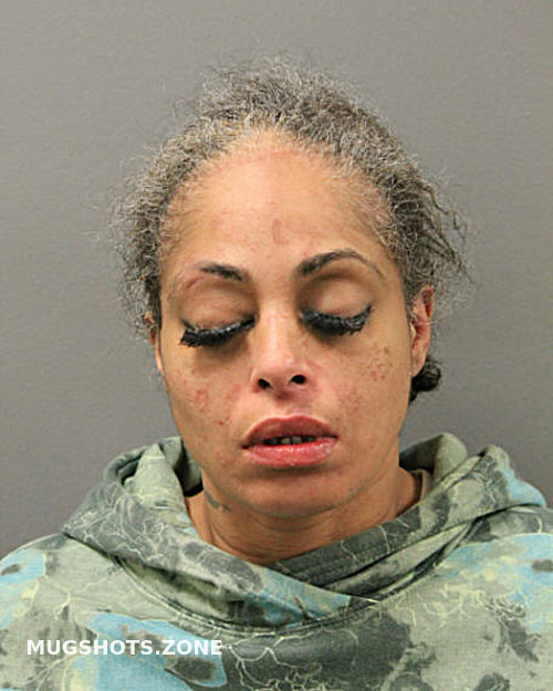 THEOLDA GRAY 02/02/2024 - Chicago Mugshots Zone