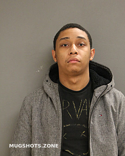ERIN T SANDERS 02/02/2024 - Chicago Mugshots Zone
